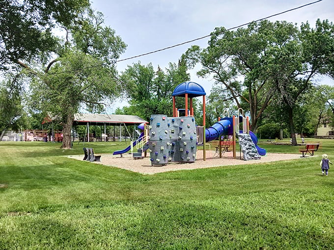 This playground isn't just equipment; it's a community gathering spot where generations of Ellendale children have conquered the climbing wall and mastered the art of swing-pumping.