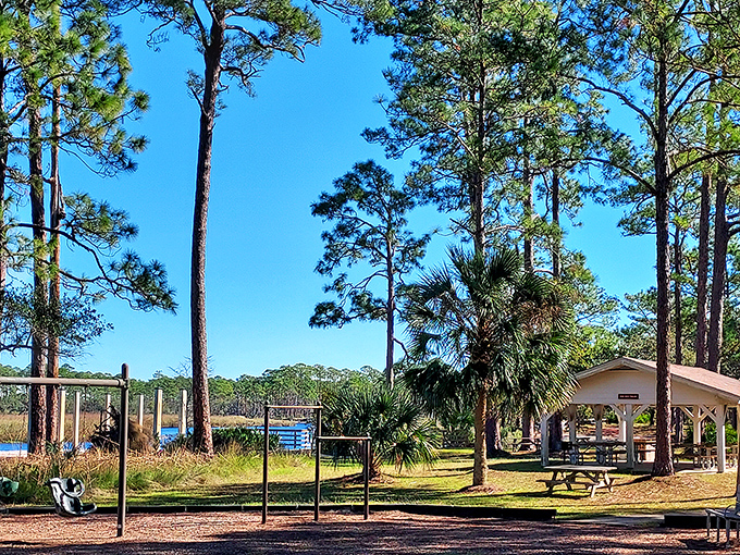 Playground paradise meets picnic perfection. This family-friendly spot offers swings with a side of spectacular pine forest views.