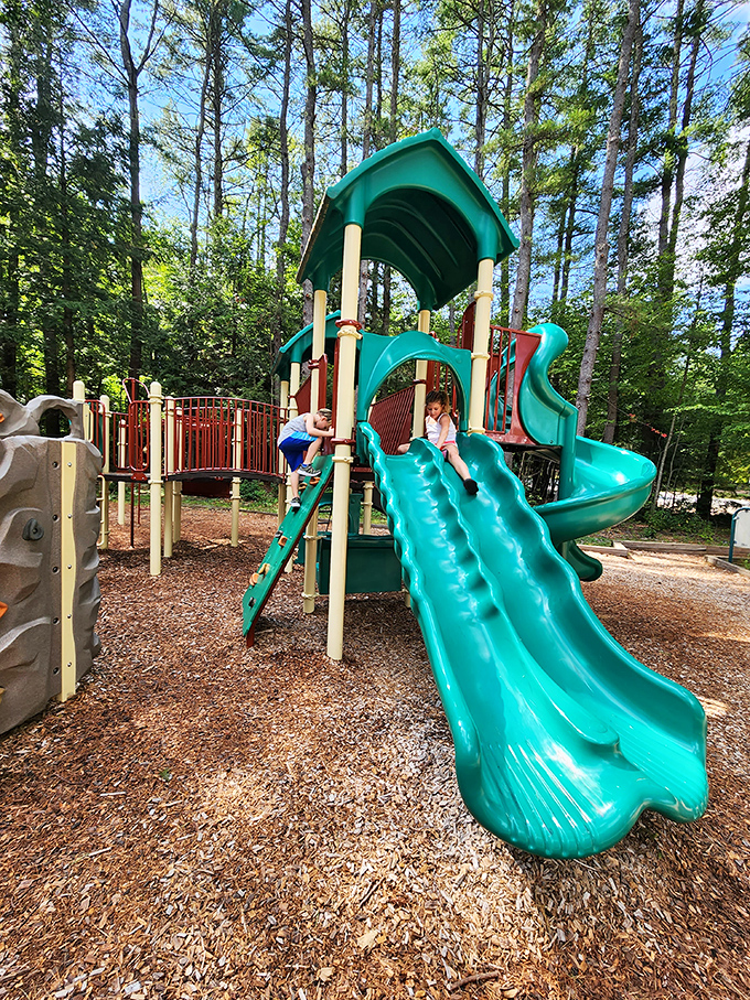 Playground paradise where kids burn energy while parents secretly wish they could take a turn on those slides too.
