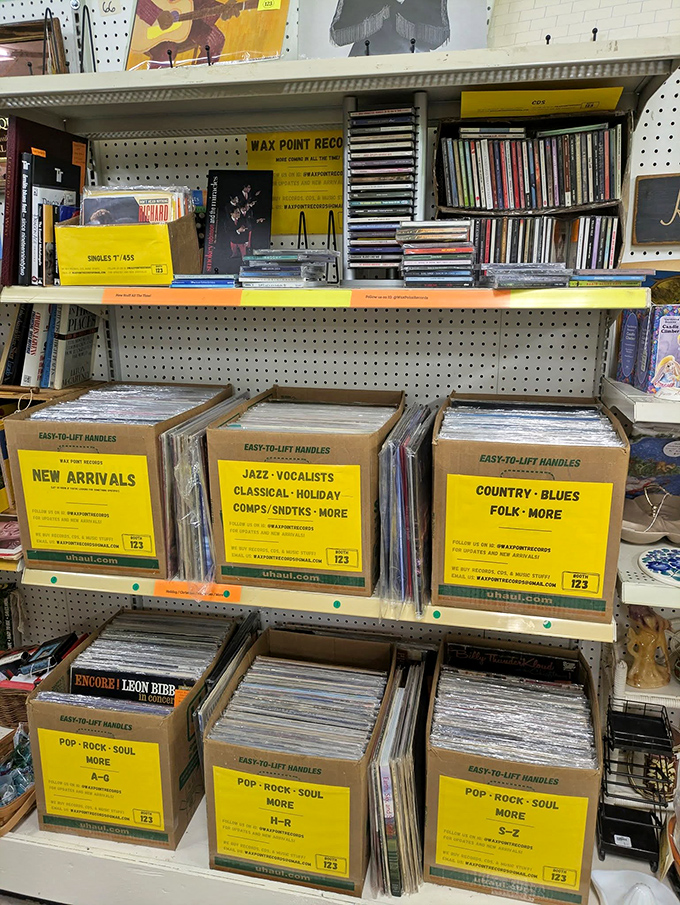 The vinyl section&mdash;where music isn't just streamed but physically experienced. These albums have soundtracked countless lives before yours.