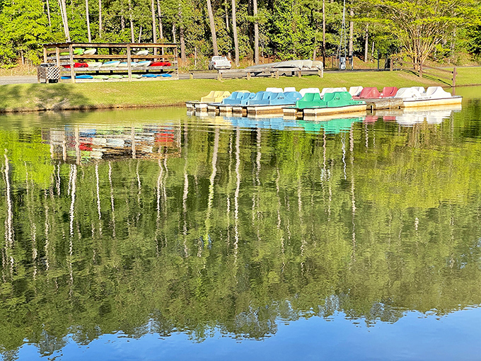 A rainbow of paddle boats waits patiently for visitors, like colorful candies in a lake-sized dish. Adventure by the hour!