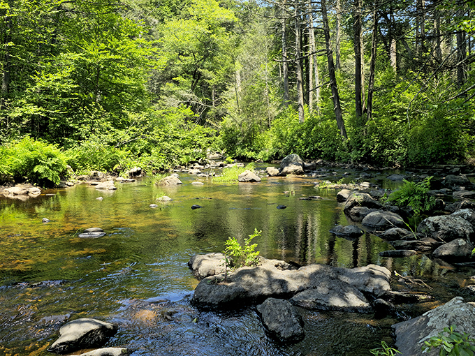 Crystal clear waters reflecting Connecticut's pristine wilderness. Like looking at Earth's baby pictures before we complicated everything.