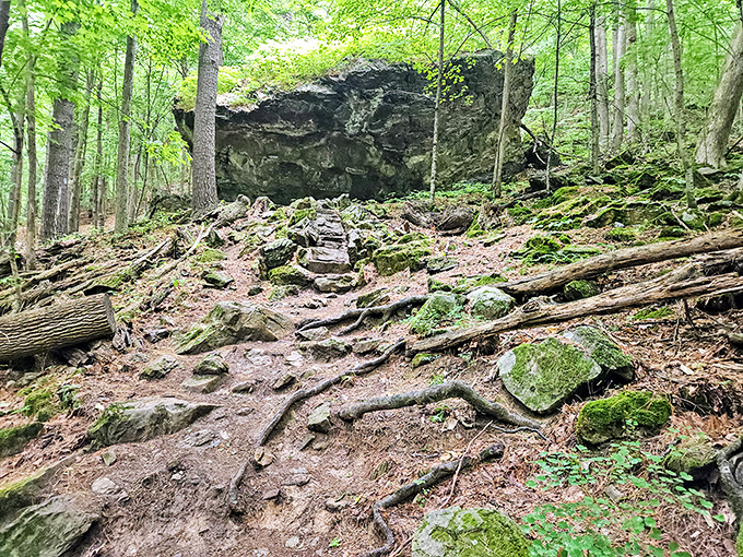 The trail less traveled reveals Mt. Philo's rugged character. Roots and rocks create a natural obstacle course for adventurous hikers.