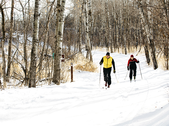 Winter transforms these trails into a cross-country skiing paradise where even falling face-first in snow somehow feels like winning at life.