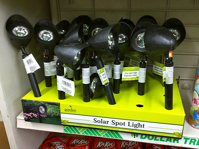 Solar spot lights that cost a buck? Your garden's about to get fancier than your neighbor's without the guilt.