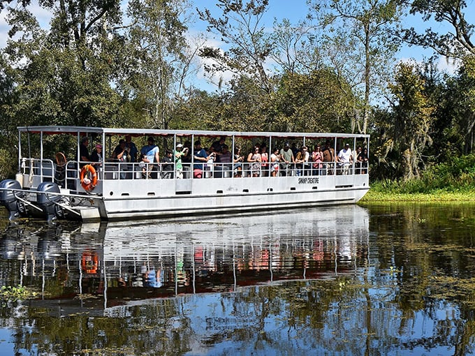 All aboard the bayou express! These swamp tours offer front-row seats to Louisiana's wild side without the discomfort of actually being in the wild.
