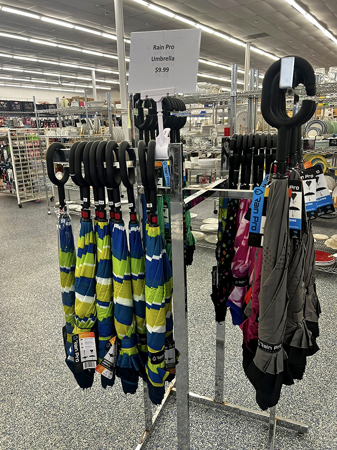 Rain Pro umbrellas standing at attention like colorful soldiers, ready to battle Wisconsin's unpredictable weather for less than ten bucks.