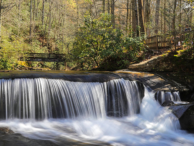 High Shoals Falls doesn't just fall &ndash; it performs, creating a mesmerizing curtain of water that hypnotizes even the most dedicated phone-checkers.