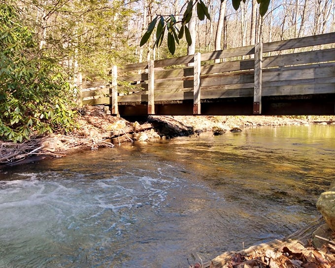 Engineering meets nature as this sturdy wooden bridge spans Penns Creek. Beneath it, trout dart through sunbeams like underwater ballet dancers.