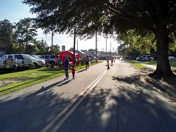 Bamberg's tree-lined streets and historic buildings create an affordable haven for retirees seeking Southern comfort.