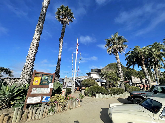 The Boathouse at Hendry's Beach looks like a postcard waiting to happen. Those palm trees practically whisper "vacation" with every breeze.