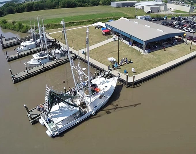 Delcambre's marina showcases a forest of fishing boat masts—each representing a captain's livelihood and passion.