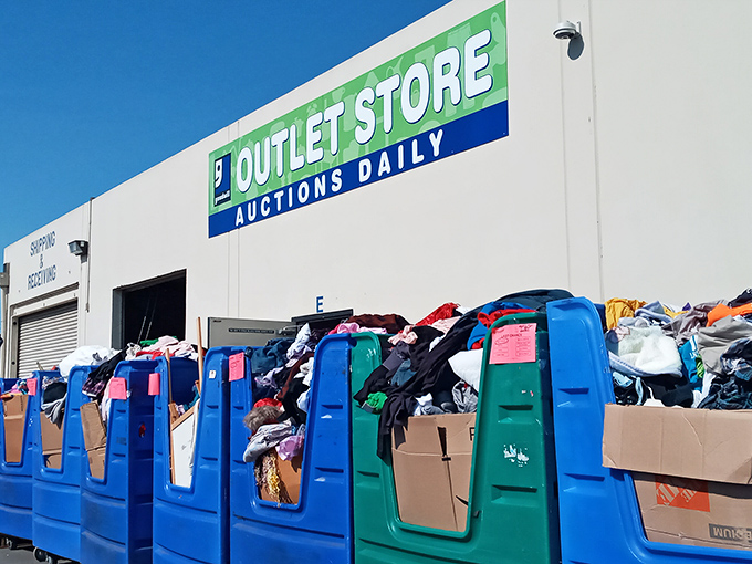 Bins of possibility at the Goodwill Outlet Store. What looks like chaos to novices reveals itself as opportunity to seasoned thrifters.
