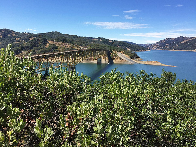 Healdsburg's rolling vineyards stretch toward mountains like nature's own green carpet installation.