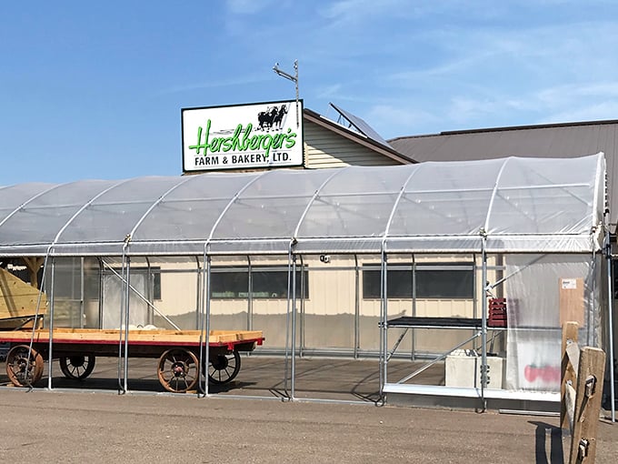Hershberger's greenhouse hints at the farm-fresh philosophy that makes their baked goods worth every single delicious calorie.