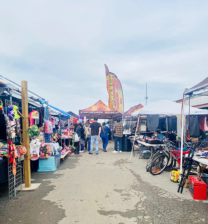 Tent treasures! La Pulga Seagoville offers a delightful jumble of everyday necessities, tools, and unexpected finds worth digging for.