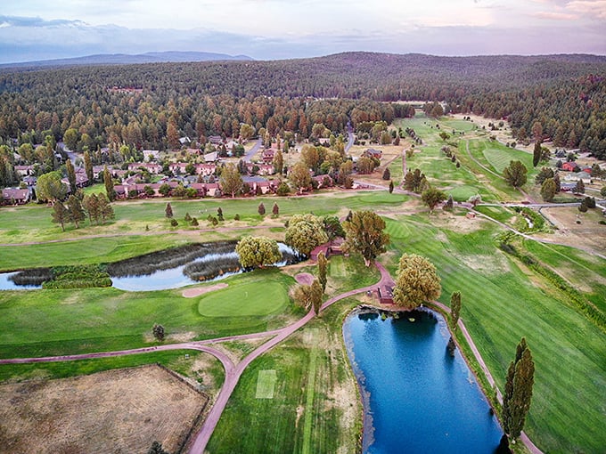 Munds Park: Where golf courses and pine forests create the perfect marriage. Nature's version of having your cake and eating it too.