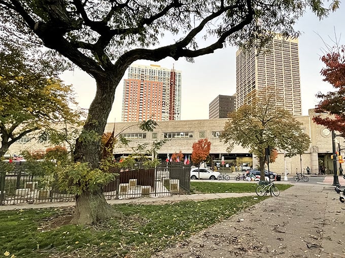 Newark's urban parks provide green spaces where residents can enjoy nature without spending a dime.