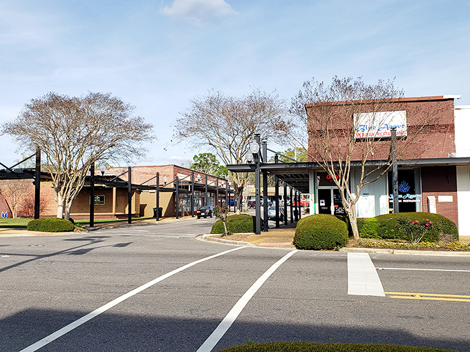 Ozark's modern shopping district proves small towns can offer big convenience&mdash;without the supersized retirement costs.