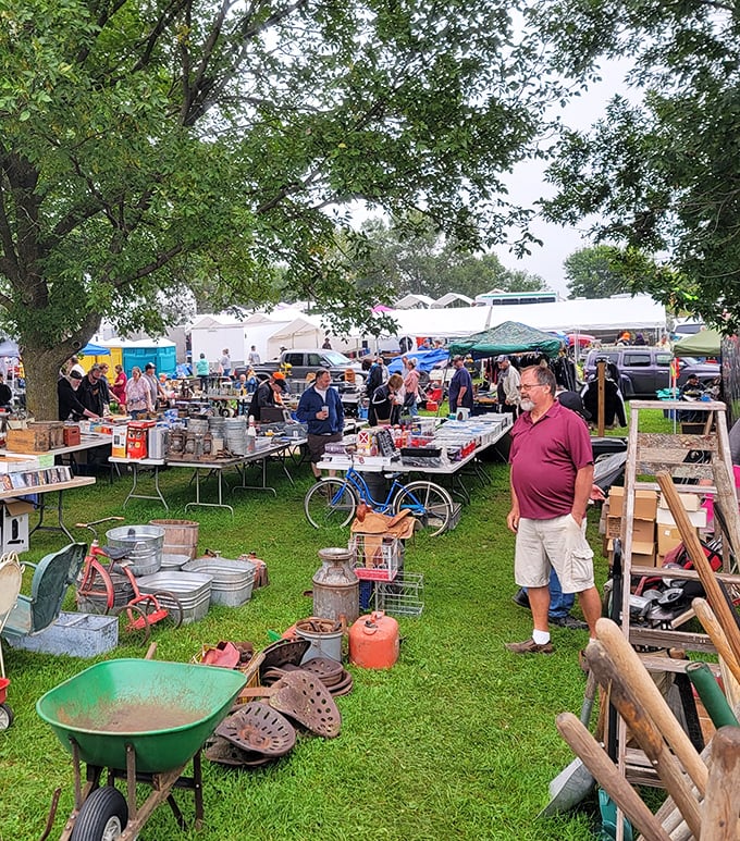 Practical treasures galore! At Wright County Swappers Meet, weathered farm tools and vintage bicycles await their second chance at usefulness.