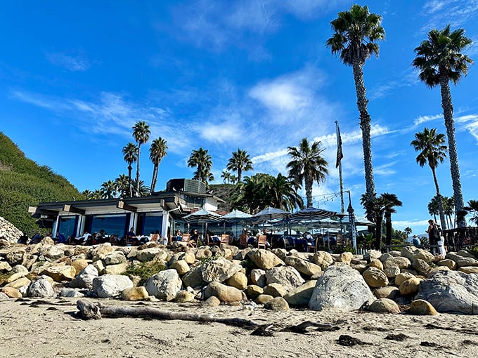 Beach, palms, and seafood &ndash; the holy trinity of California dining. The Boathouse delivers this perfect trifecta with ocean views that refuse to quit.