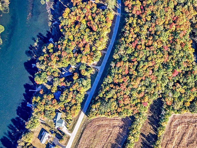 Fall colors paint Detroit Lakes' shoreline where lakefront homes nestle between water and vibrant autumn forest.