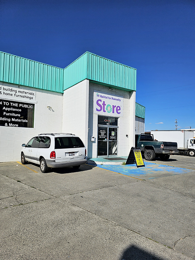 That mint green accent wall isn't just pretty—it's the gateway to a world where secondhand furniture becomes first-rate home decor.