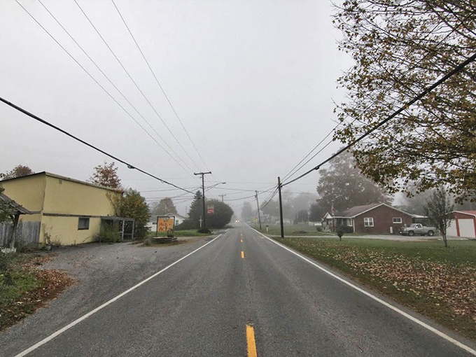 Hillsboro's misty country roads wind through rolling farmland, creating the peaceful rural setting that inspired Pearl S. Buck's early years.