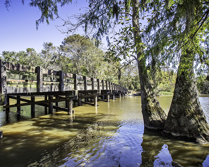 Wooden boardwalk stretches across tranquil bayou waters, framed by majestic cypress trees in Jennings, Louisiana.