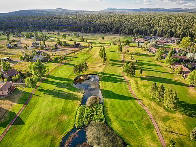 Munds Park from above: Arizona showing off its verdant side. Those ponds are like nature's mirrors, reflecting clouds that rarely see themselves.