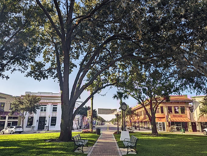 Mature oak trees create natural canopies over Sebring's walkable downtown &ndash; shade that doesn't cost extra on your monthly expenses.