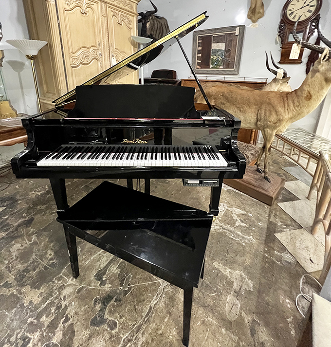 A grand piano shares space with taxidermy, because at Thrift & Dollar, unexpected pairings are just part of the adventure.