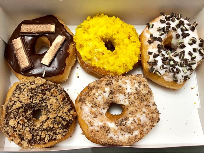 A box of Amy's donuts is like a well-curated art exhibit where every piece deserves your full attention. The Kit Kat one is calling my name.
