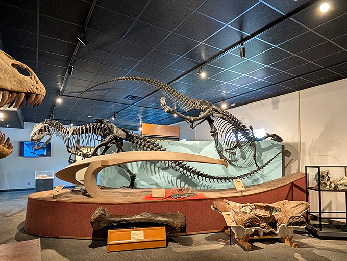 Dinosaurs that once roamed Utah now stand frozen in time, reminding us that today's traffic jams are nothing compared to Jurassic rush hour.