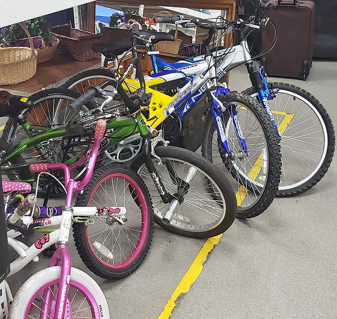 Bicycle heaven for wheels of every size. From first-time riders to weekend warriors, these pre-loved cycles are ready for new adventures on Connecticut trails.