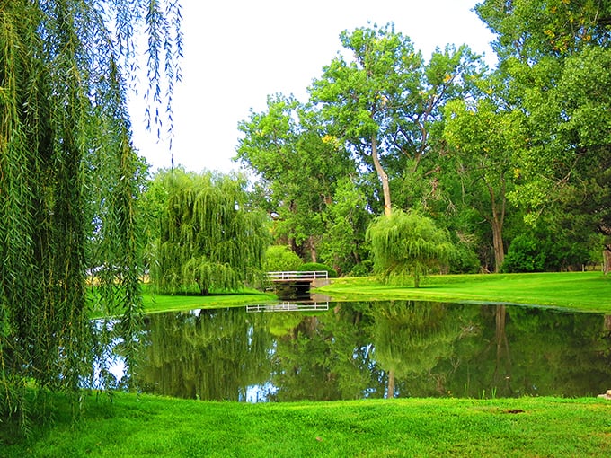 Weeping willows frame this serene pond at Buffalo Bill Ranch, where the wild west showman once relaxed between globe-trotting adventures.
