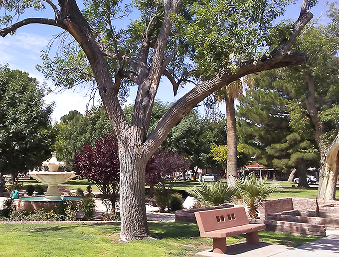 Castro Park provides a shaded oasis where generations of Douglas residents have escaped the Arizona heat.