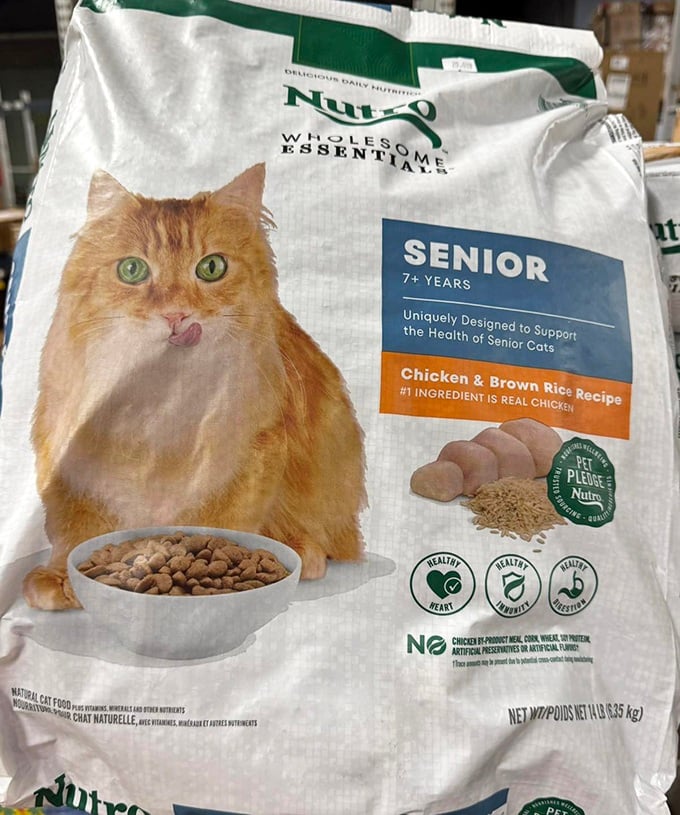 Even your finicky feline can benefit from Bid Llama's bargains. Premium pet food at prices that won't have you eating kibble to compensate.