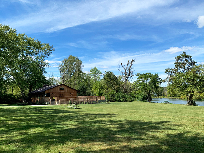 Tranquility defined: The Clifton Reserve offers peaceful meadows and riverside views that make you forget you're just miles from Springfield.