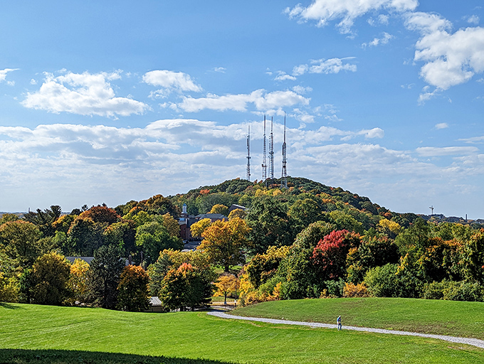 Cobbs Hill Park in autumn is nature's own masterpiece&mdash;a canvas of gold, amber, and crimson against Rochester's blue skies.