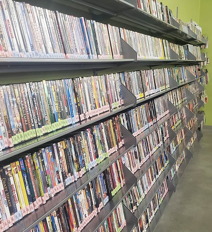 DVDs from before everything streamed directly into our eyeballs &ndash; physical manifestations of entertainment spanning genres and decades.