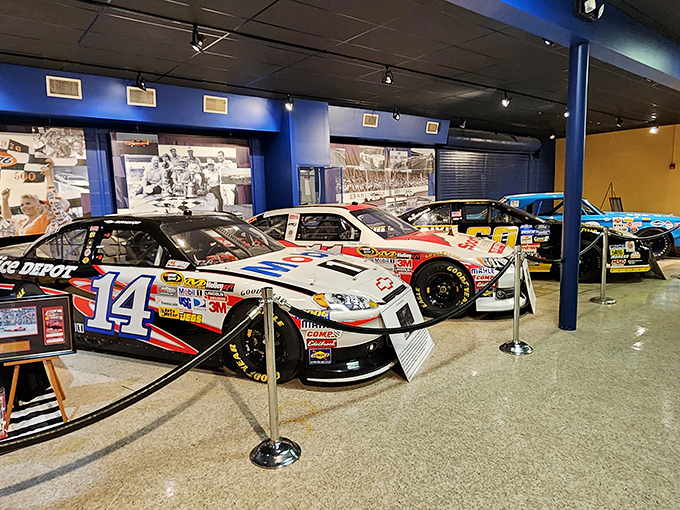 Racing history gleams under spotlights at the Darlington Raceway Museum, where legendary cars rest after their glory days of thunder and speed.