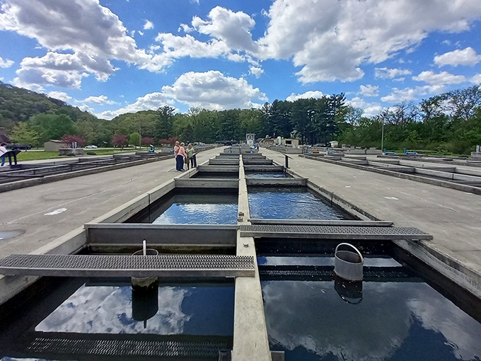 Engineering meets ecology at the Decorah Fish Hatchery, where tomorrow's trophy trout begin life in these carefully managed waters.