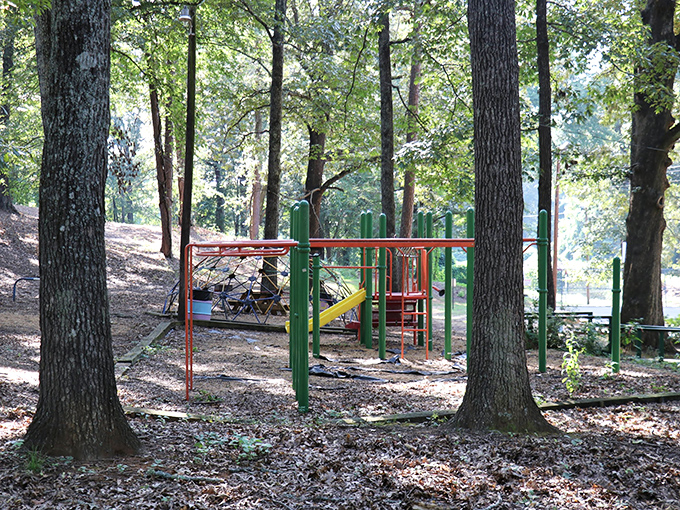 Dell Park's playground peeks through the trees like a colorful secret, where kids burn energy and parents secretly wish they could still fit down the slides.
