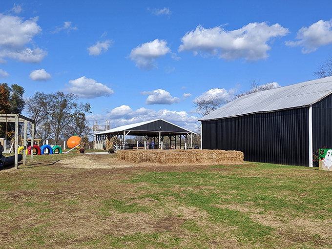 Nothing says "autumn in Kentucky" quite like hay bales, barn structures, and wide-open spaces where kids can burn off energy while parents sample apple cider.