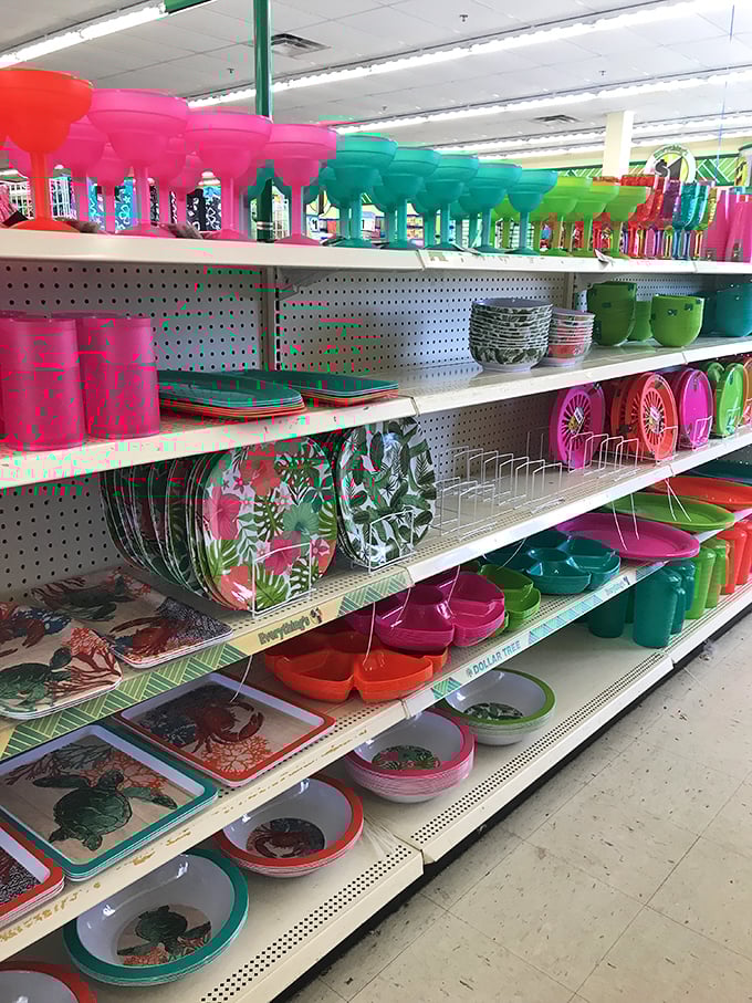 A rainbow explosion of drinkware that makes every beverage feel like a celebration. Margarita Monday just got more colorful.