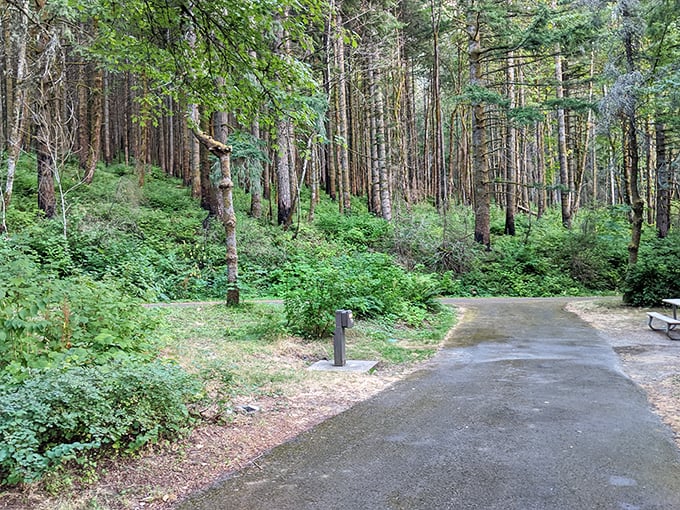 Forest bathing at its finest&mdash;where the trees stand like silent therapists offering the world's most effective stress treatment.