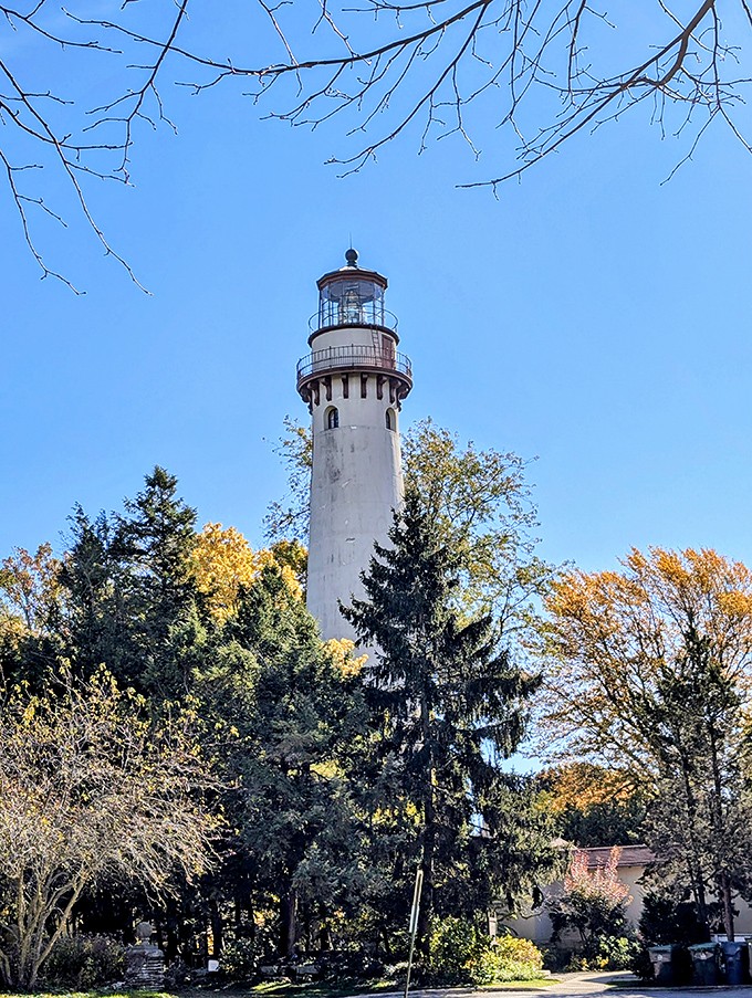 Rising above autumn's golden canopy, the Grosse Point Lighthouse has guided sailors safely home since the days when navigation involved more than asking Siri for directions.