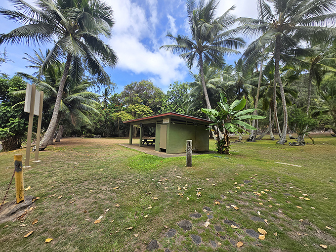 Hālawa Park's humble shelter stands guard beneath swaying palms, inviting impromptu gatherings and lazy afternoon naps.