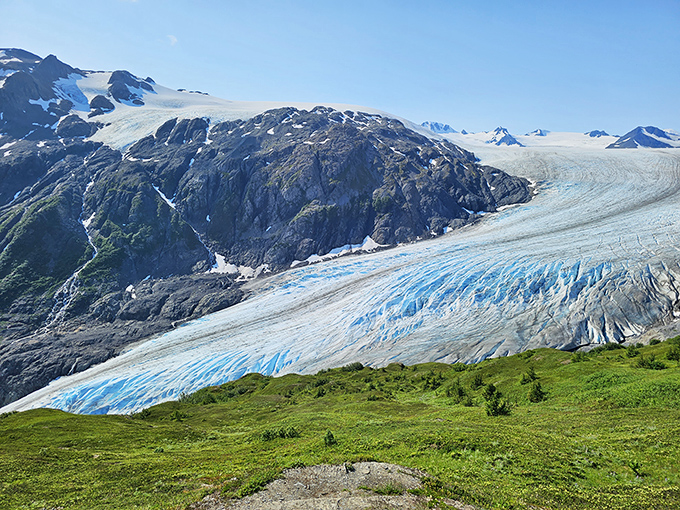 The Exit Glacier flows like a frozen river caught in time, its blue veins telling stories older than human civilization.